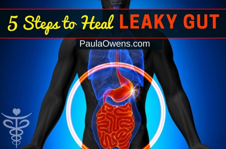 5 Step Formula to Heal Leaky Gut Naturally - Paula Owens
