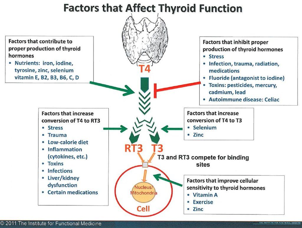 Thyroid Health And Hypothyroid part 2 Paula Owens MS Thyroid Health And Hypothyroid part 2 Paula Owens MS